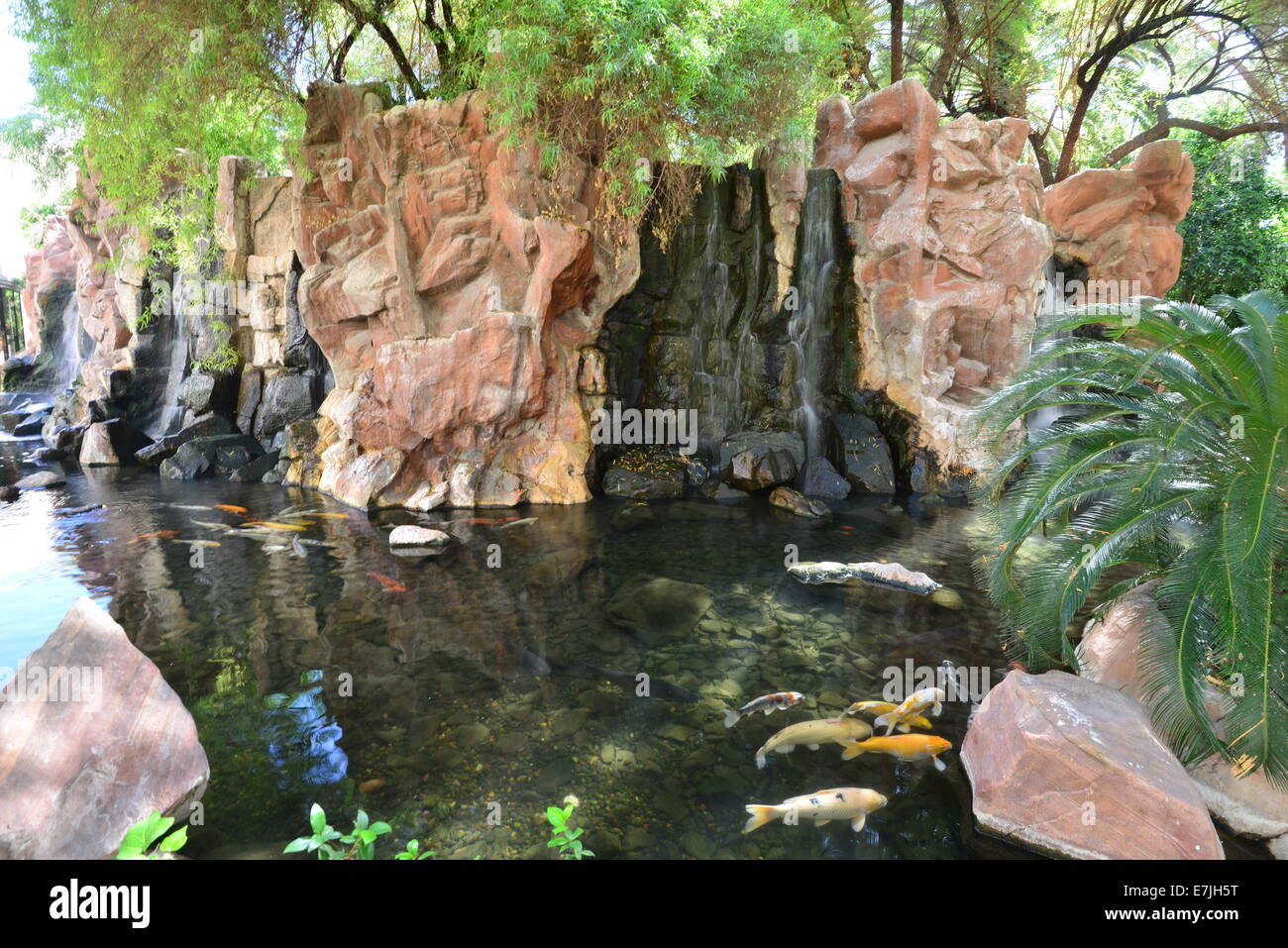 A rock pool with fish at a hotel in Las Vegas Stock Photo - Alamy