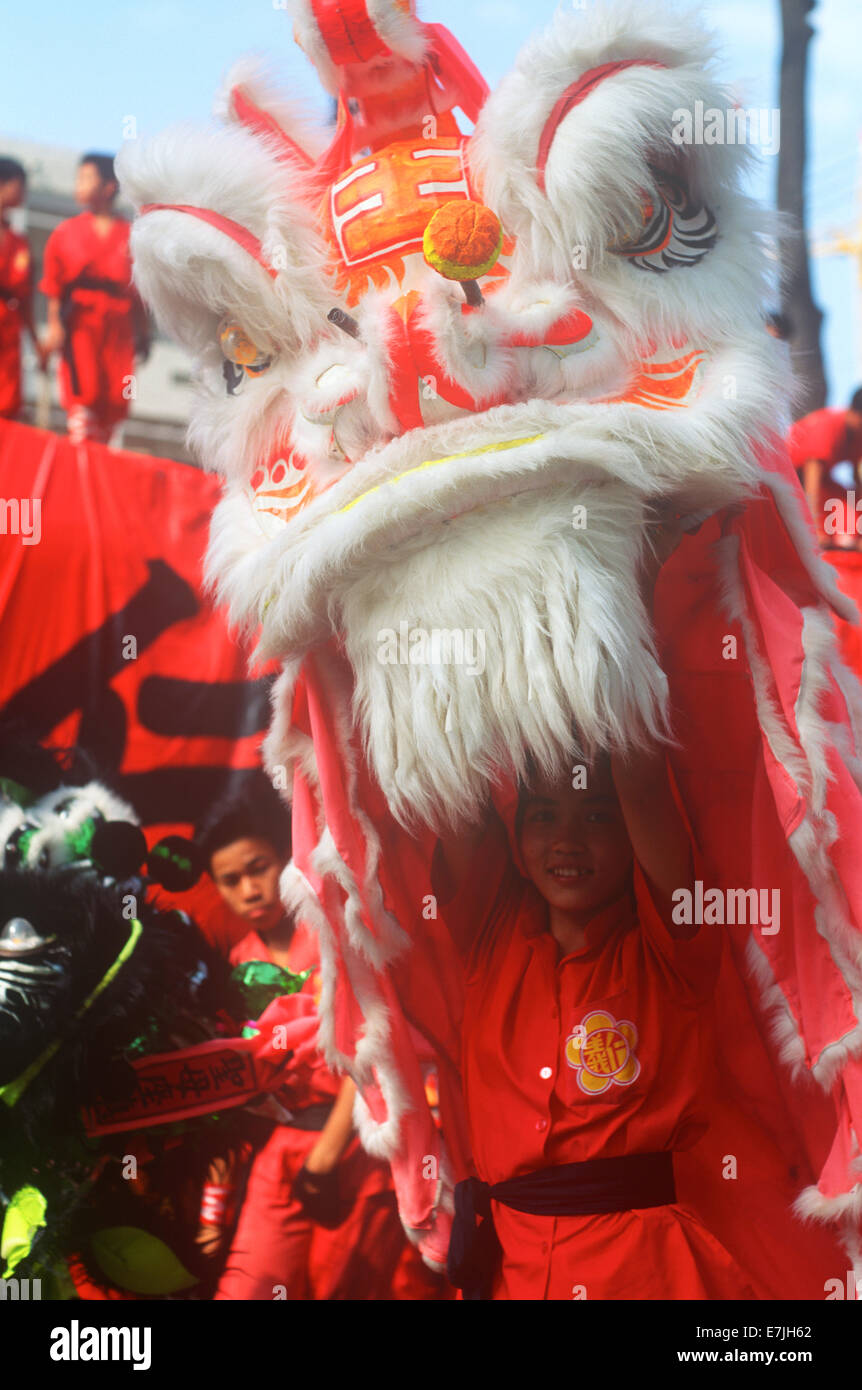 Dragon Dancing, Tet New Year, Saigon, Vietnam Stock Photo - Alamy