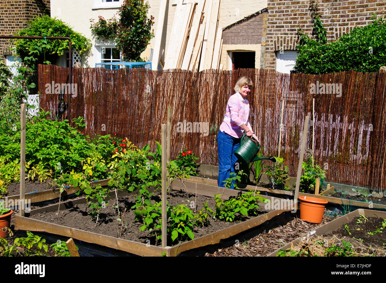 Growing asparagus and rhubarb hi-res stock photography and images - Alamy