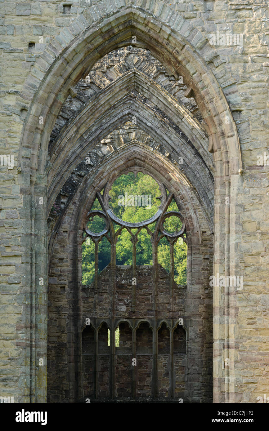The remains of a window inside Tintern Abbey, Monmouthshire, Wales ...