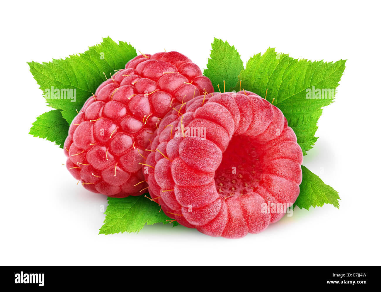 Two raspberries on white background Stock Photo - Alamy