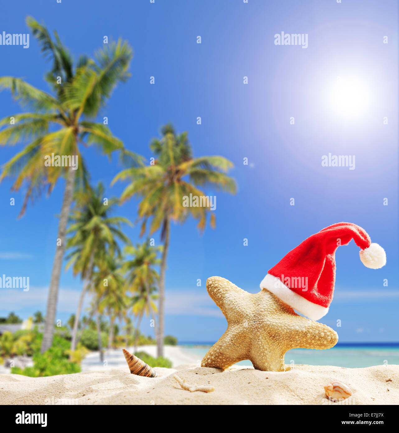 Starfish with Santa hat by the ocean on a summer day shot with tilt and ...