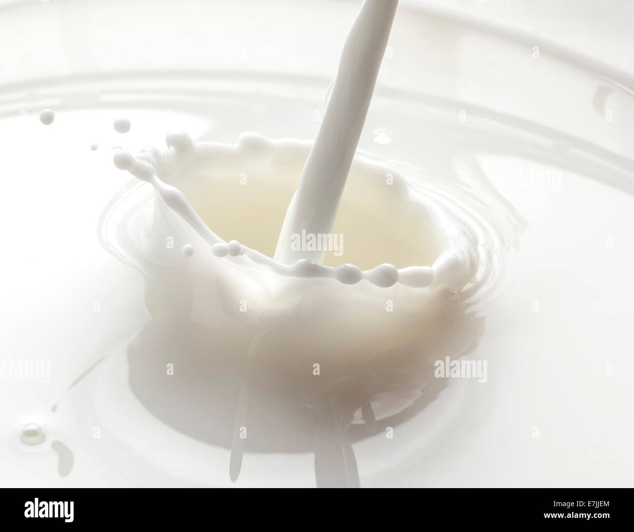 stream of milk is poured into a container Stock Photo - Alamy