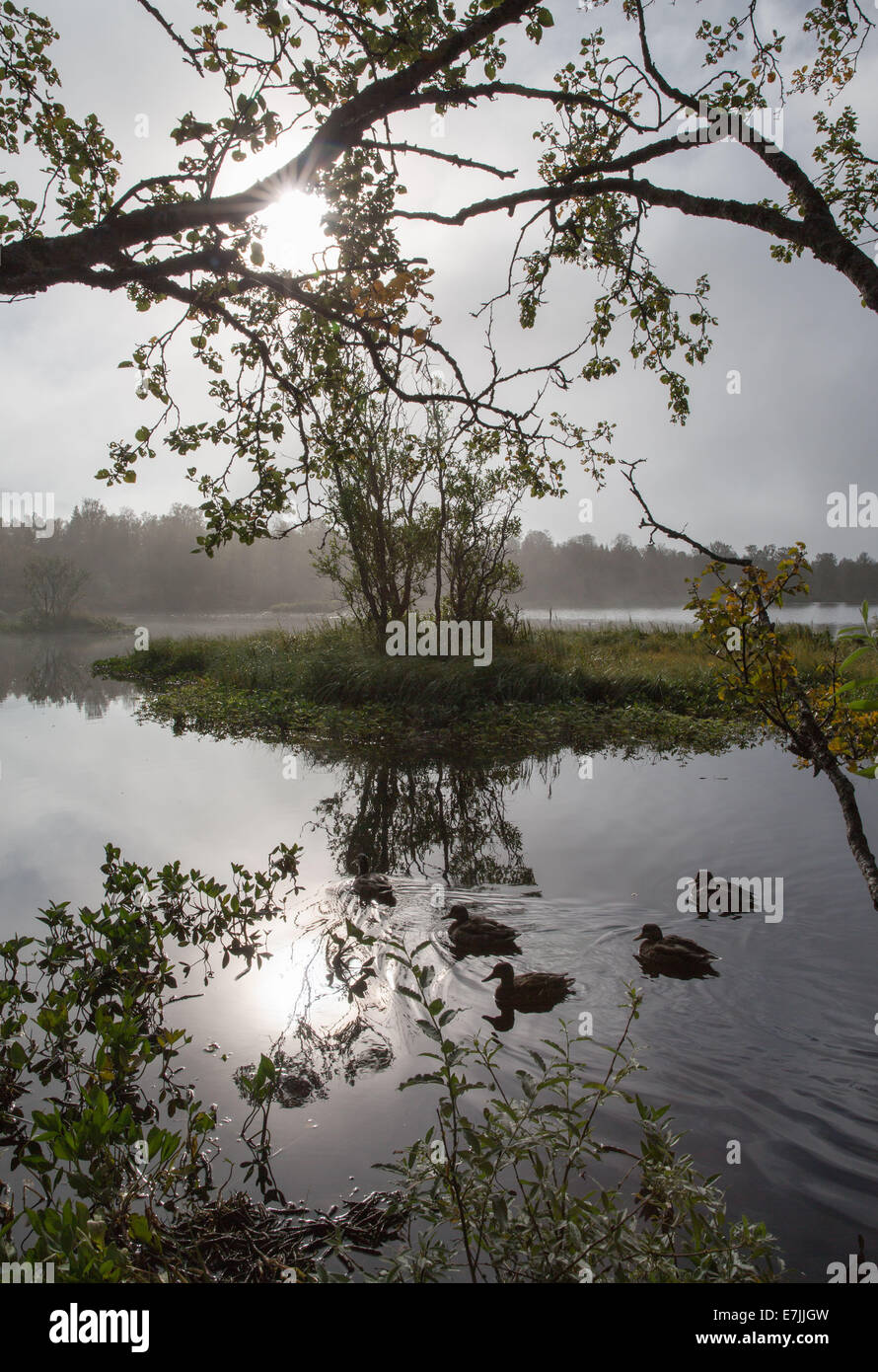 Prestvannet lake hi-res stock photography and images - Alamy