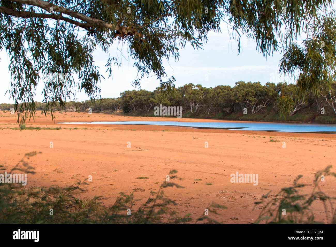 Wea aridity lif hi-res stock photography and images - Alamy