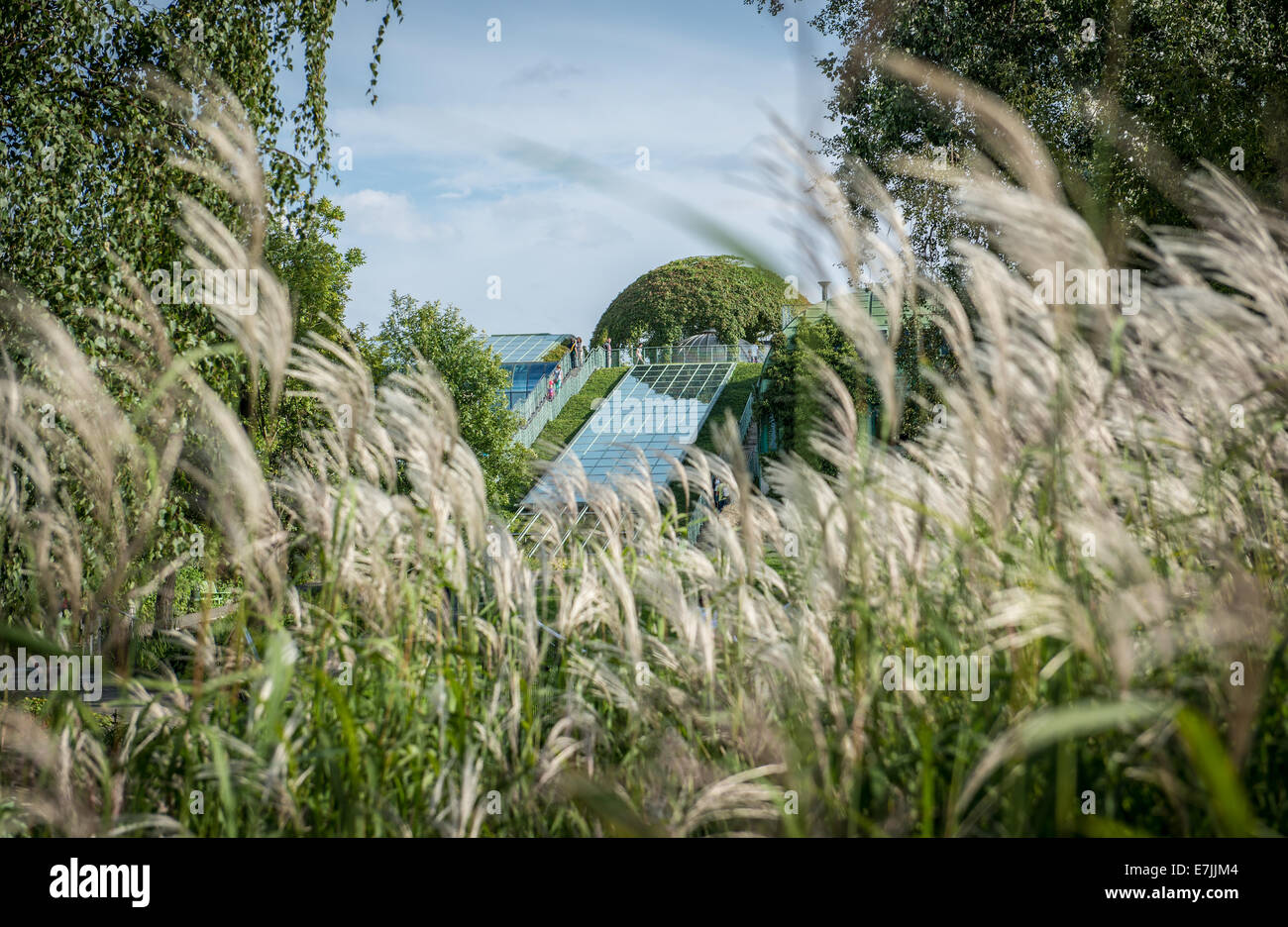Botanical garden warsaw library hi-res stock photography and images - Alamy