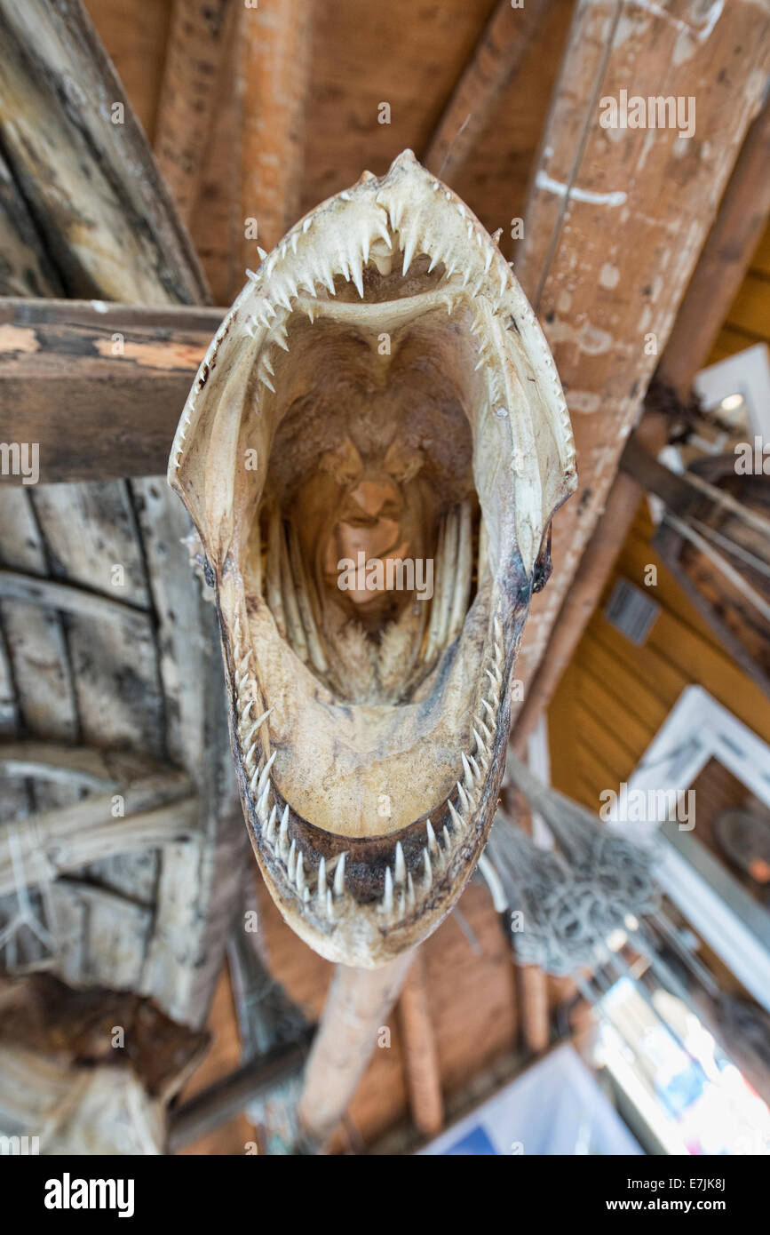 Cod fish head hanging dry hi-res stock photography and images - Alamy