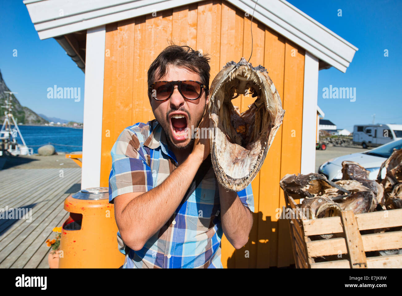 Cod Fish Head High Resolution Stock Photography and Images - Alamy