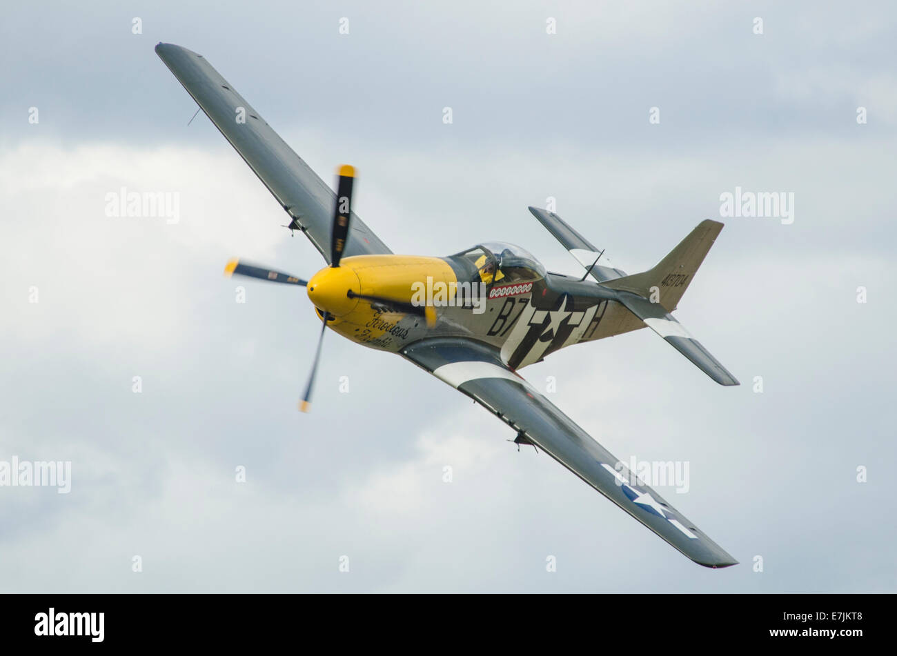 Old Flying Machine Company's P51D Ferocious Frankie in the colours of ...