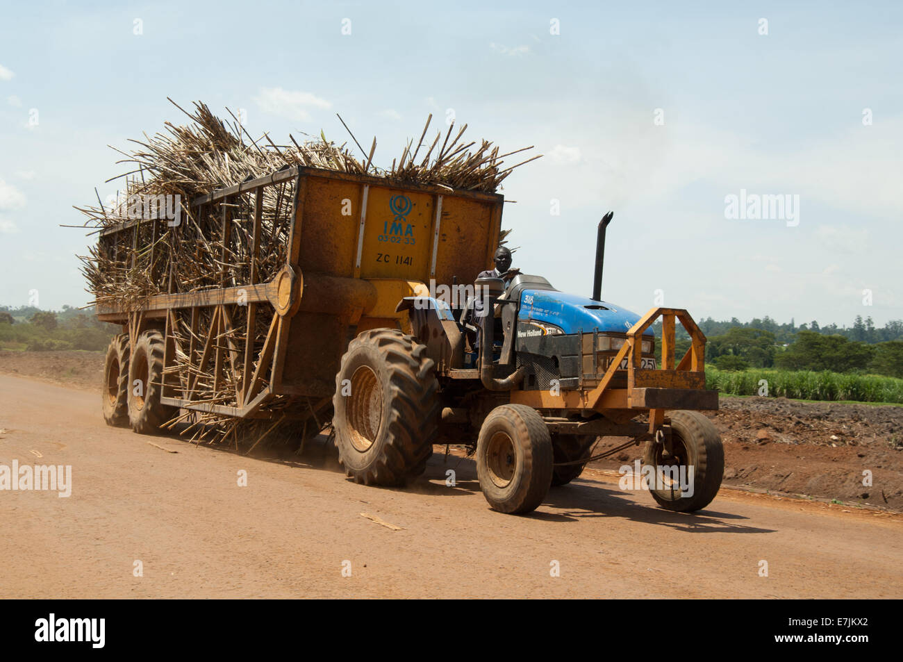 Sugar cane being taken to the mill, near Mumias, Kenya, Africa Stock ...