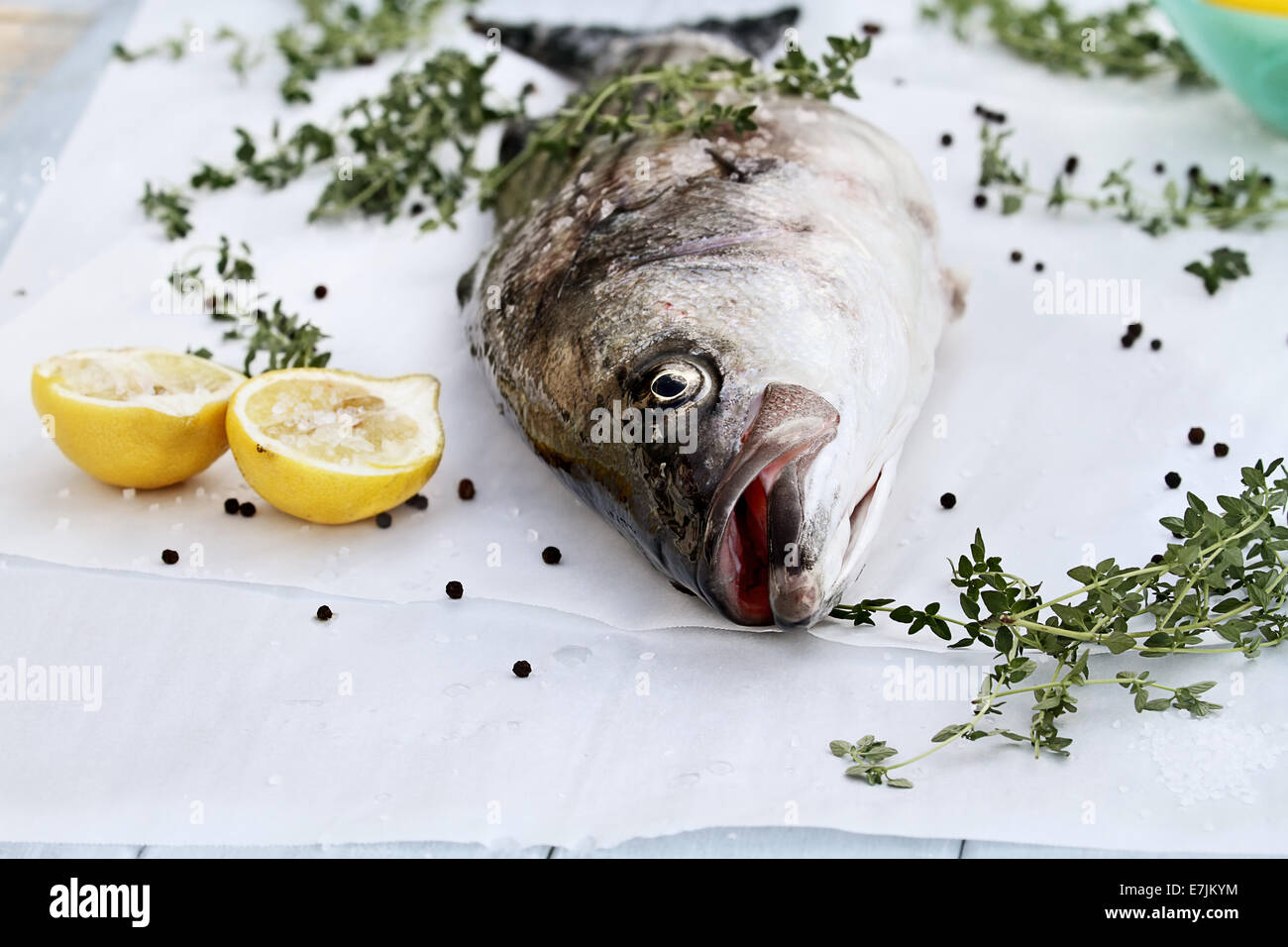 Striped bass hi-res stock photography and images - Alamy