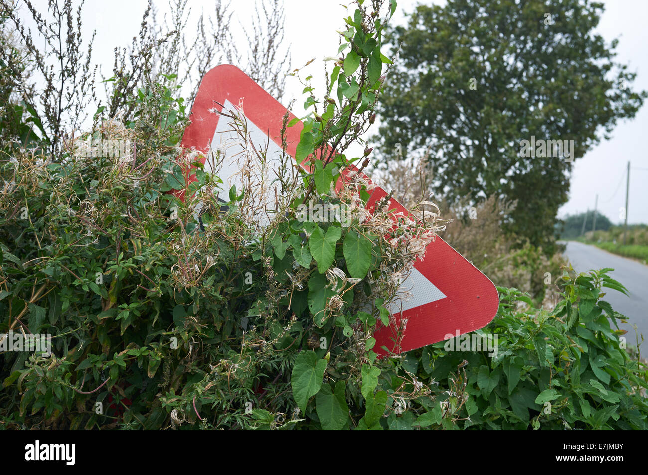 Hidden S Bend road traffic sign UK Stock Photo - Alamy
