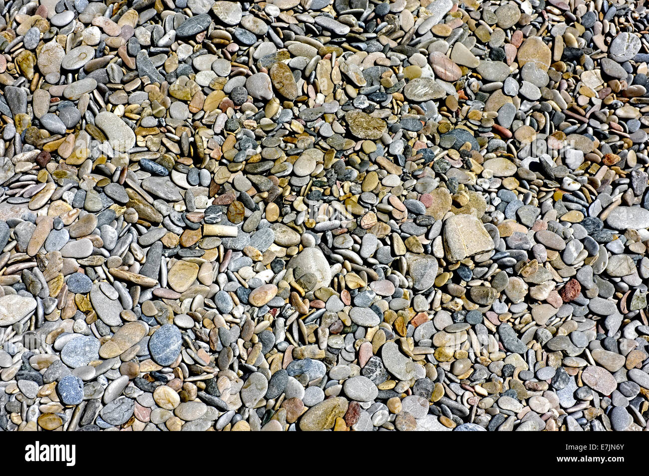 Pebbles on the beach Stock Photo - Alamy