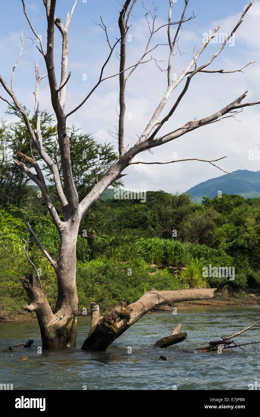 Chiapas wildlife hi-res stock photography and images - Alamy