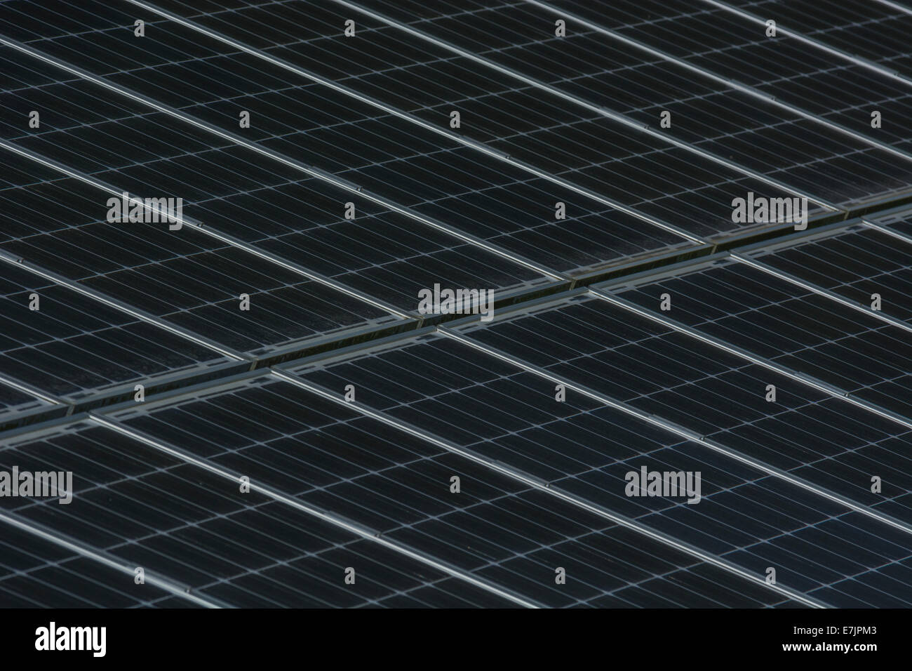 Section of racked fixed tilt PV / Photo-voltaic solar farm array of ...