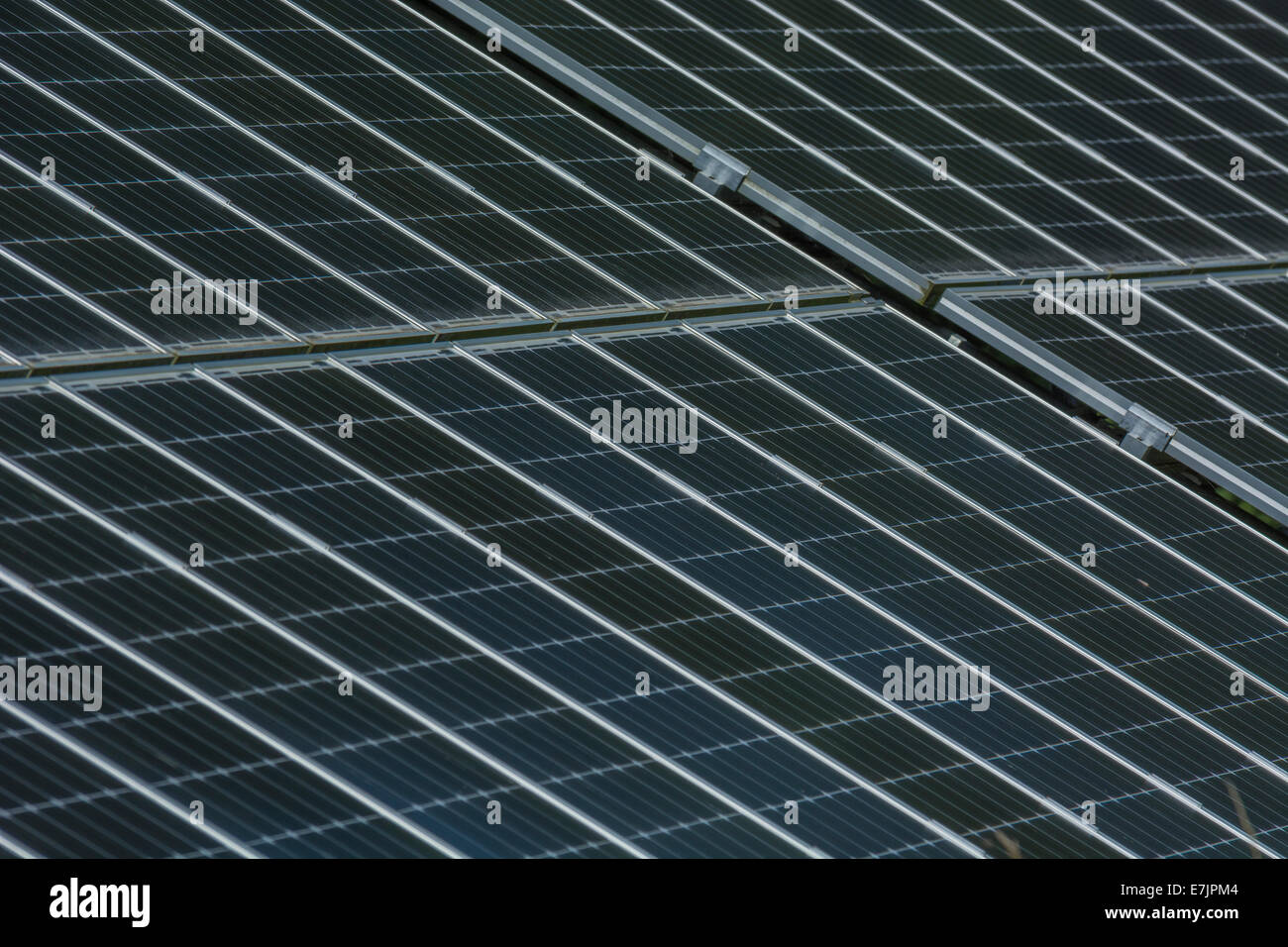 Section of racked fixed tilt PV / Photo-voltaic solar farm array of ...