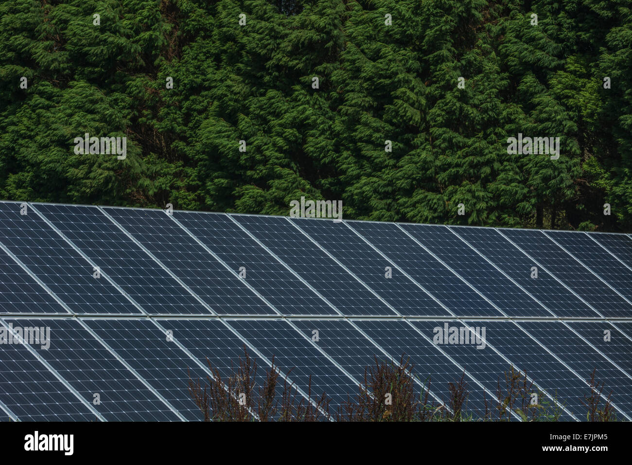 Section of racked fixed tilt PV / Photo-voltaic solar farm array of ...