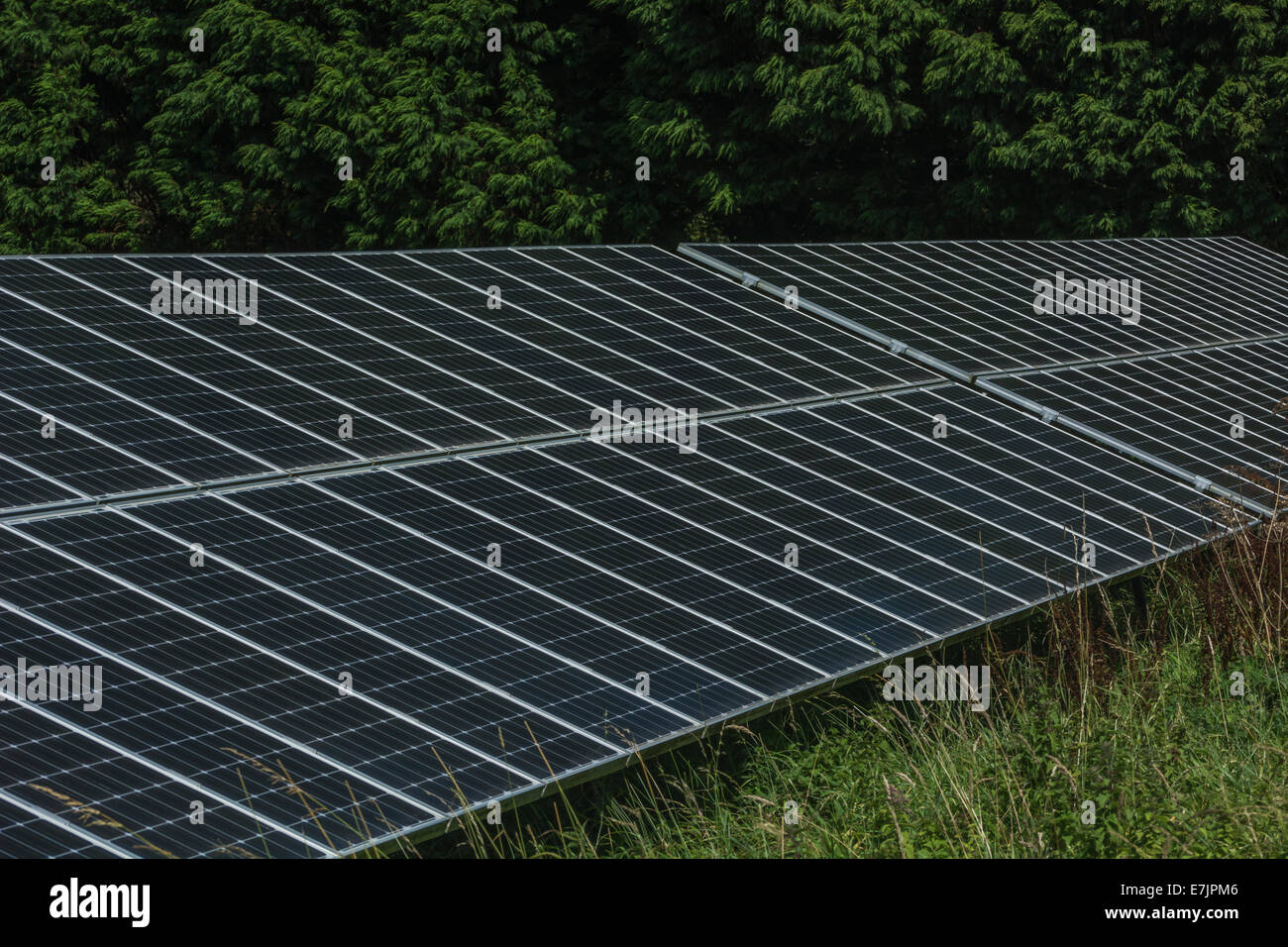Section of racked fixed tilt PV / Photo-voltaic solar farm array of ...
