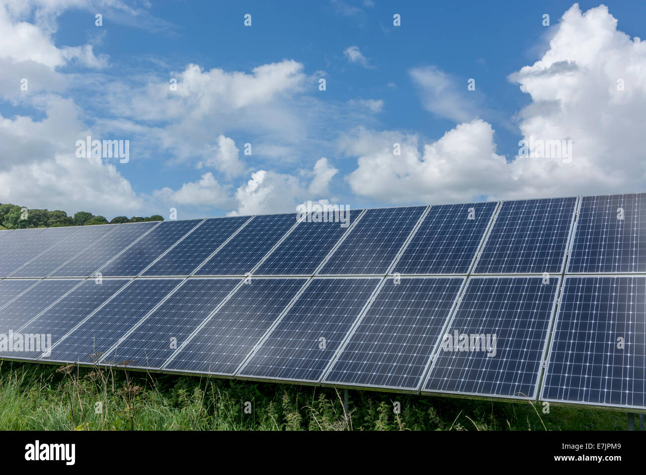 Section of racked fixed tilt PV / Photo-voltaic solar farm array of ...