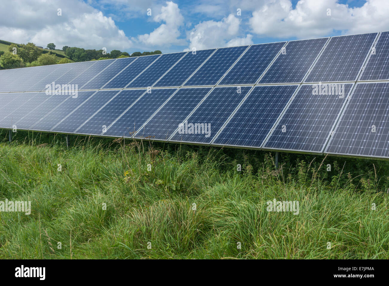 Section of racked fixed tilt PV / Photo-voltaic solar farm array of ...
