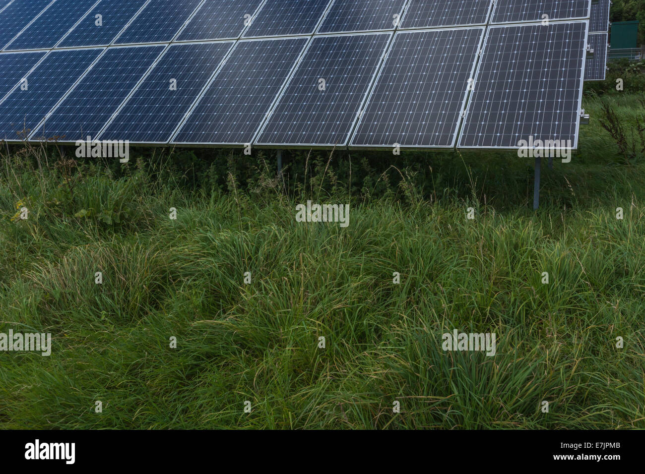 Section of racked fixed tilt PV / Photo-voltaic solar farm array of ...