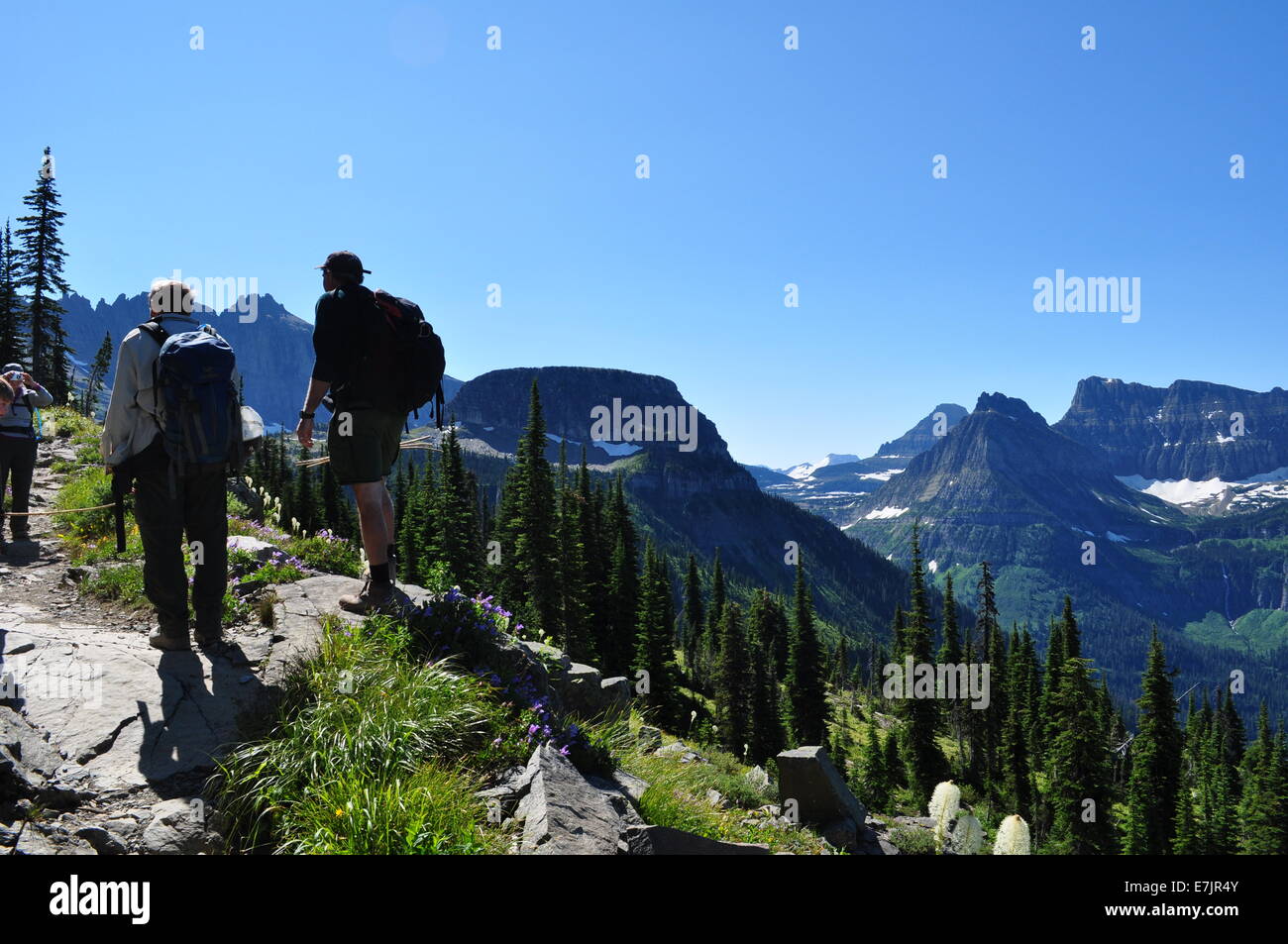Glacier park highline trail hi-res stock photography and images - Alamy