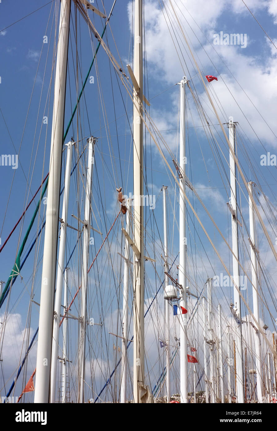 Boat poles hi-res stock photography and images - Alamy