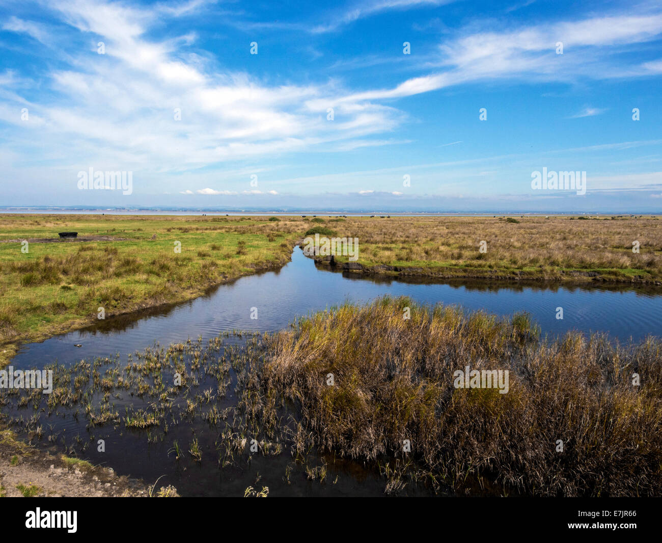 Hadrians Wall Trail Solway High Resolution Stock Photography and Images ...