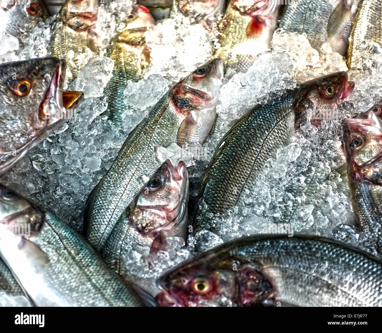 Marine ices hi-res stock photography and images - Alamy