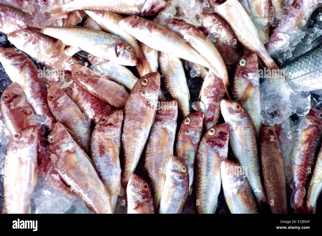 Group of dead fish on display Stock Photo - Alamy