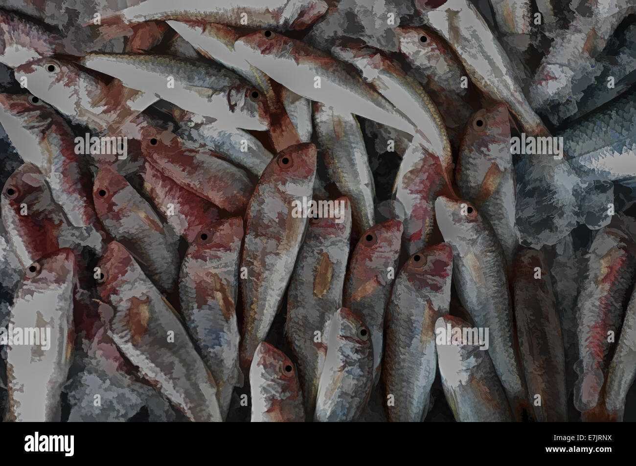 Dead fish in the stall with some effects Stock Photo - Alamy