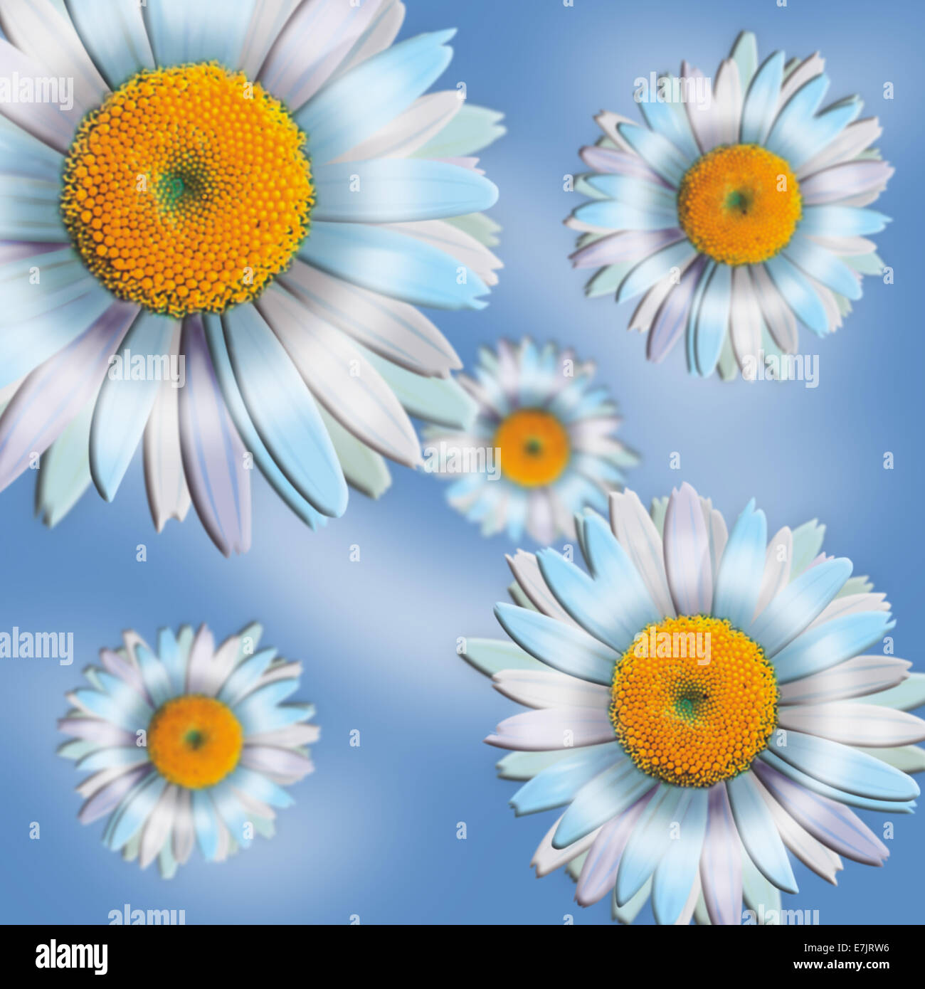 Floating daisies hi-res stock photography and images - Alamy