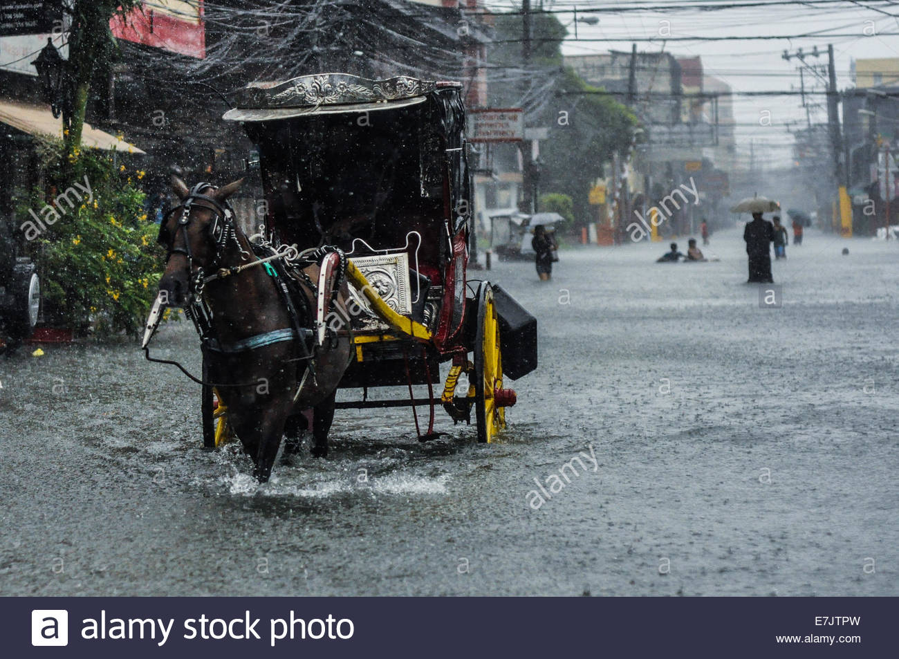 A Horse Drawn Water Carriage Stock Photos & A Horse Drawn Water ...