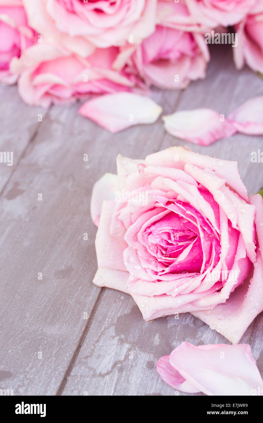 pink roses on table Stock Photo - Alamy