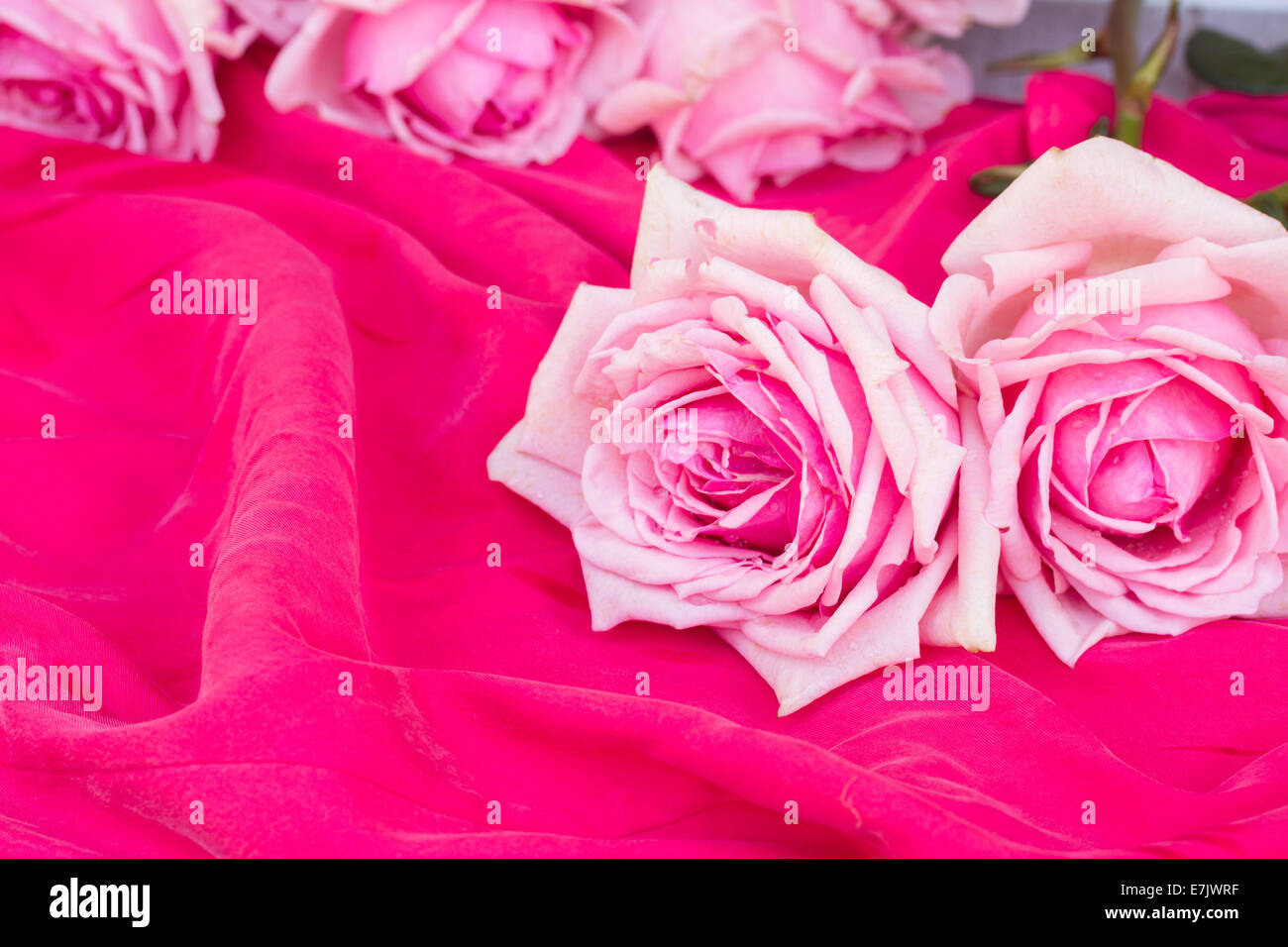 pink roses on table Stock Photo - Alamy