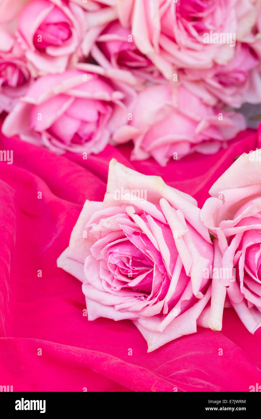 pink roses on table Stock Photo - Alamy