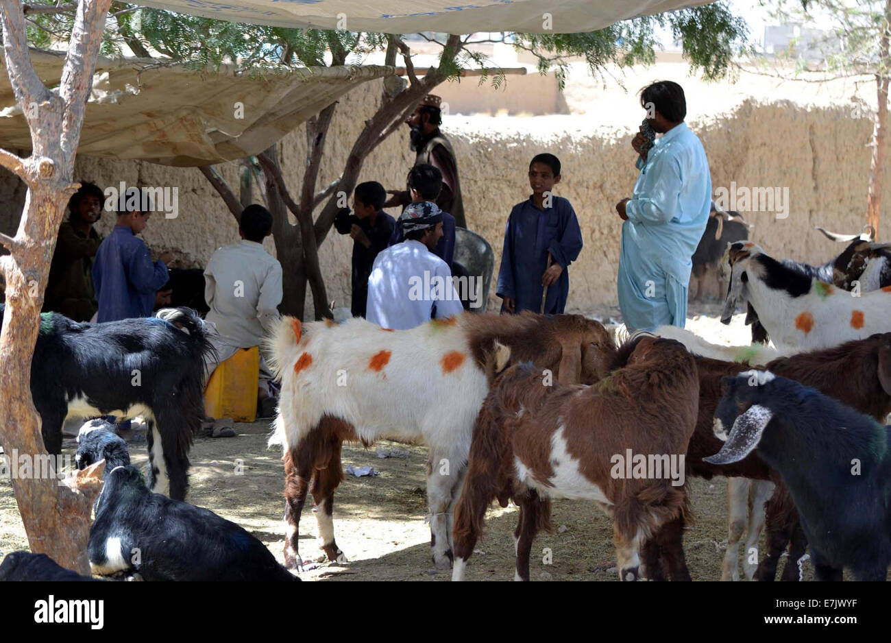 Slaughtering of sacrificial animals hi-res stock photography and images ...