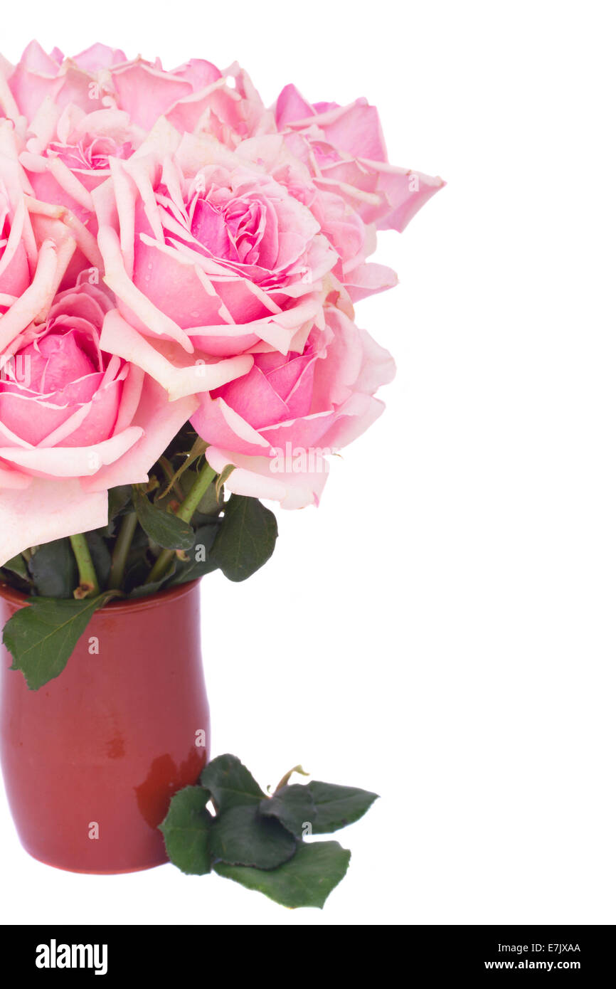 bunch of fresh pink roses Stock Photo - Alamy