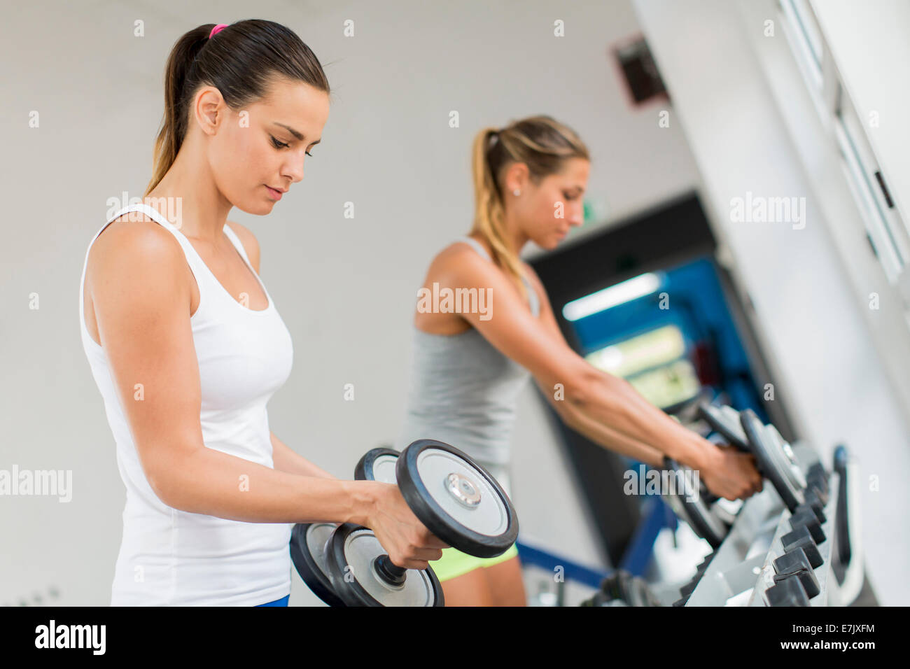 Young women training in the gym Stock Photo - Alamy