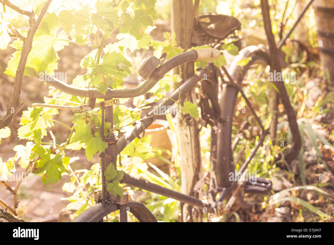 Old cycle hi-res stock photography and images - Alamy