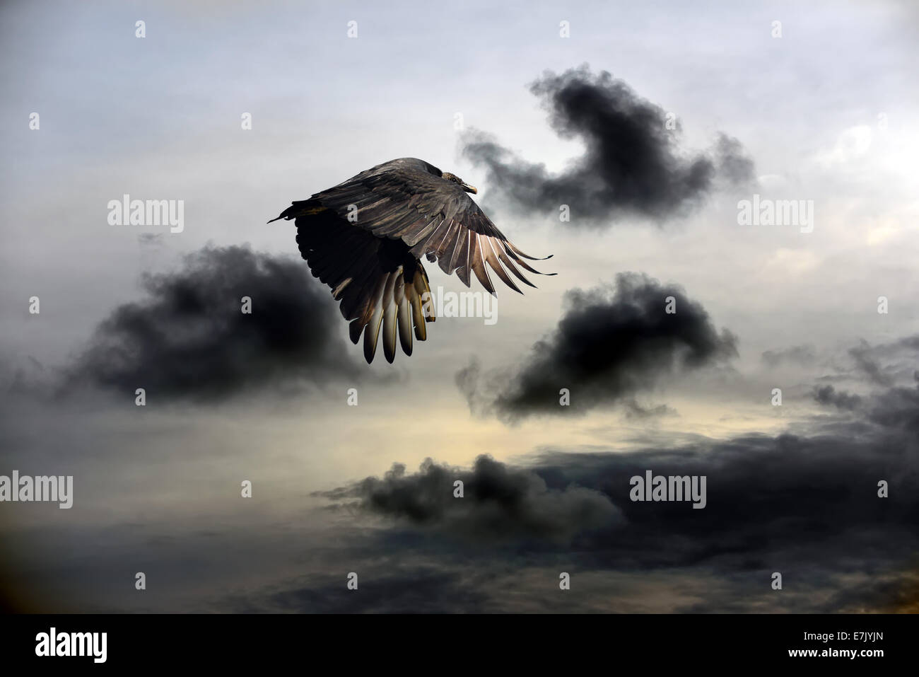 Flying storm clouds hi-res stock photography and images - Alamy