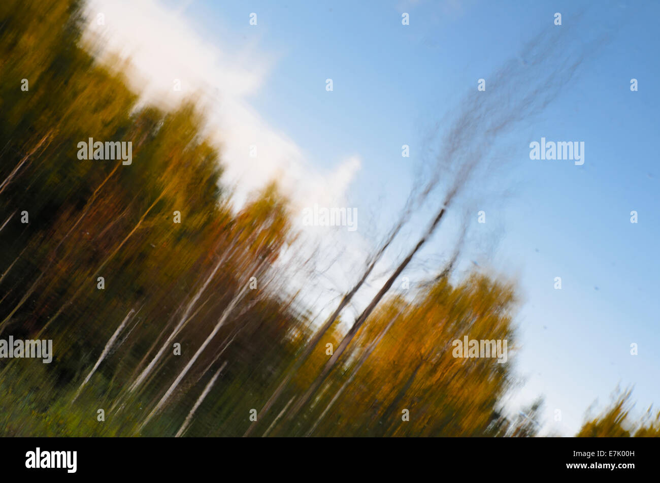 fall forest reflection in water Stock Photo - Alamy