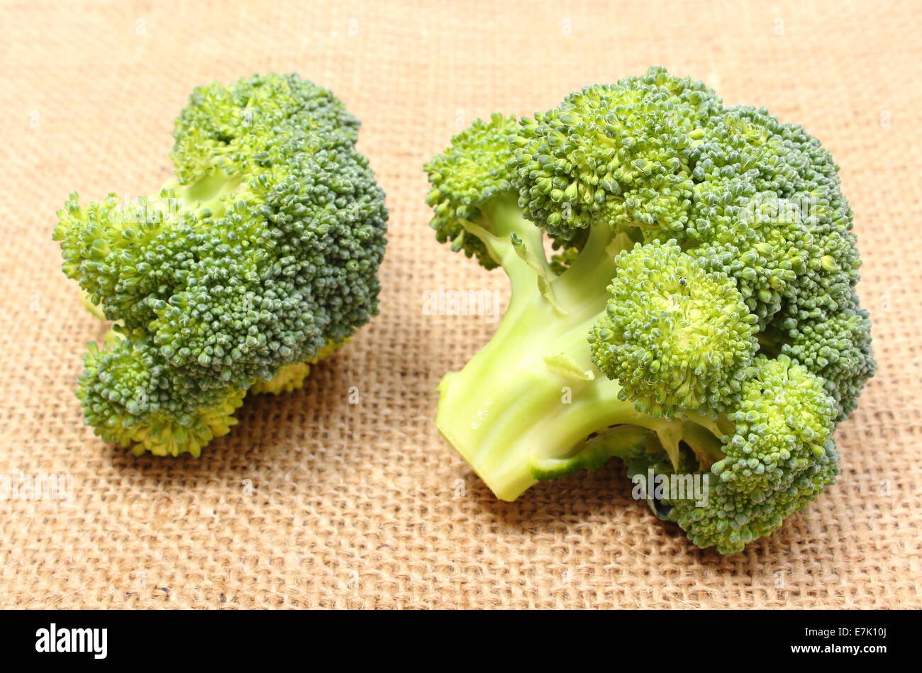 Portion of fresh raw green broccoli on jute canvas, branches of ...