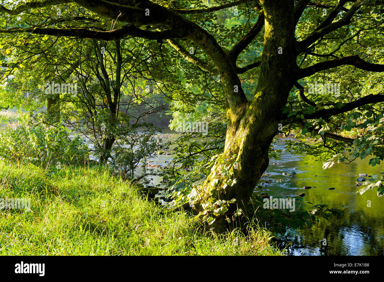 River Kent at Staveley, Cumbria, England UK Stock Photo - Alamy