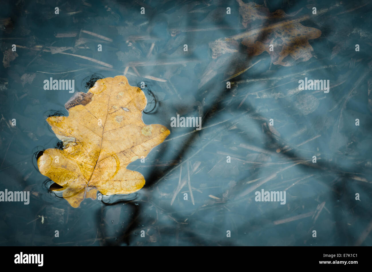 Close up water fall hi-res stock photography and images - Alamy