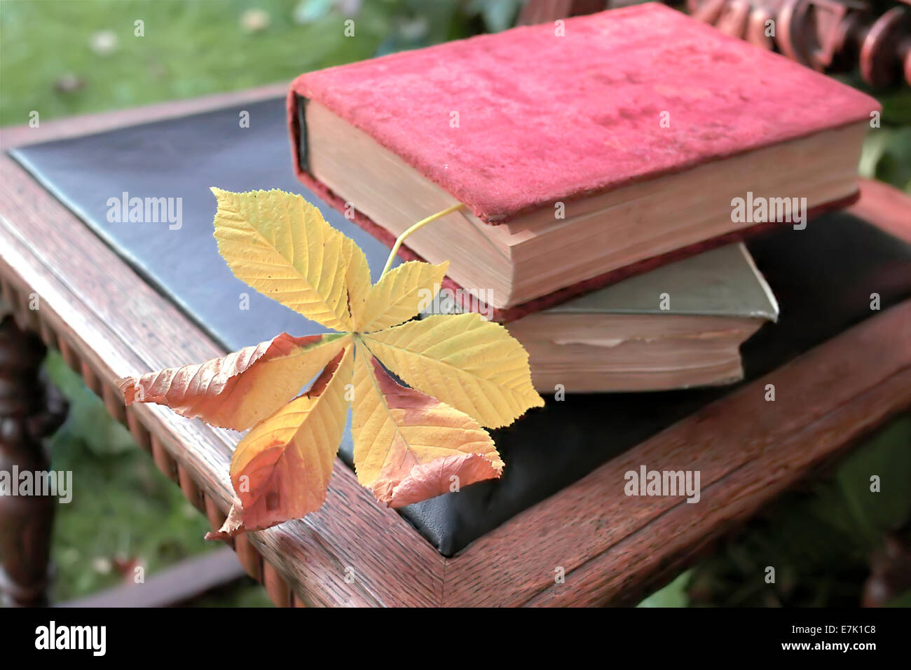 Two retro books Stock Photo - Alamy