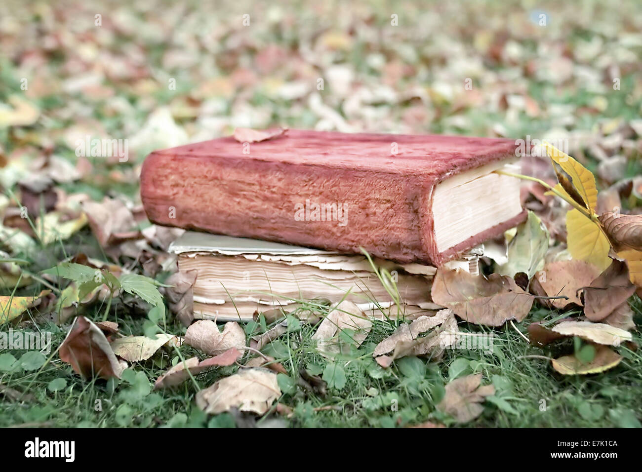 Books on grass no people hi-res stock photography and images - Alamy