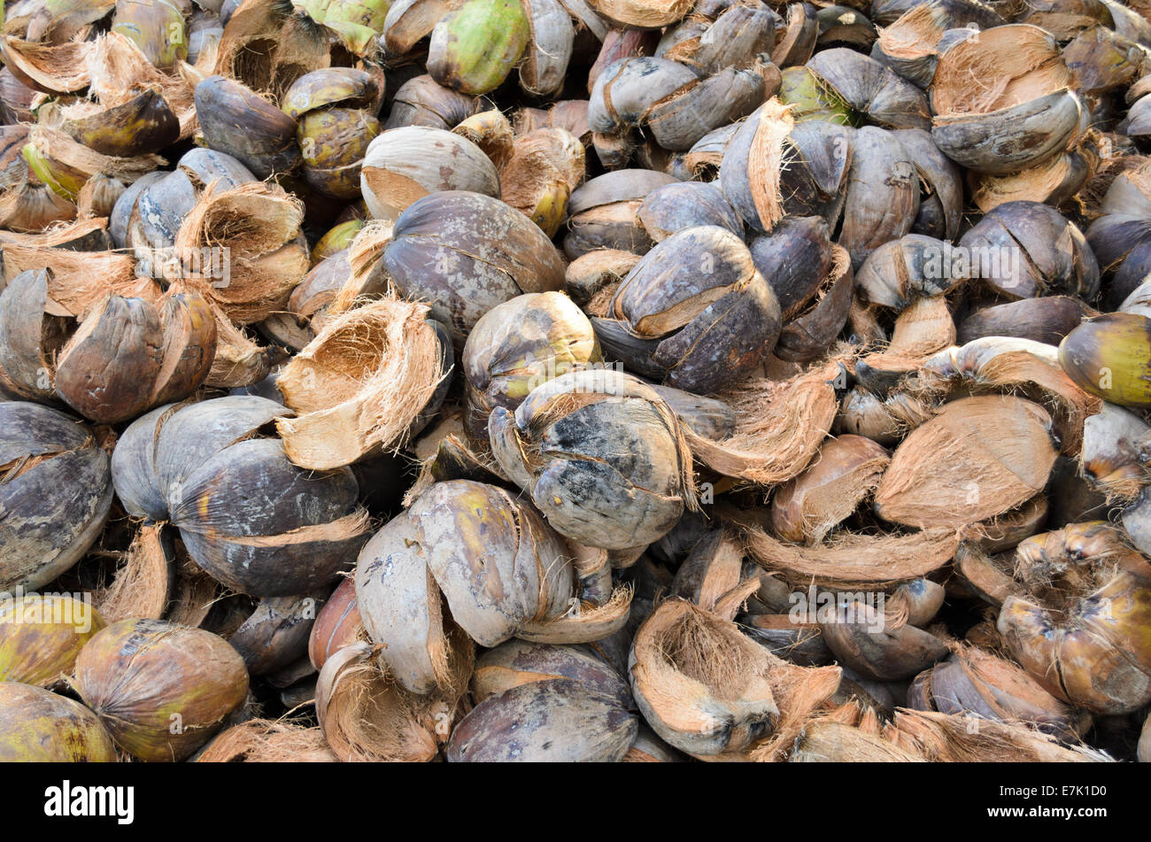 Pile of Coconut shell awaiting transport to plant fibers in Thailand ...