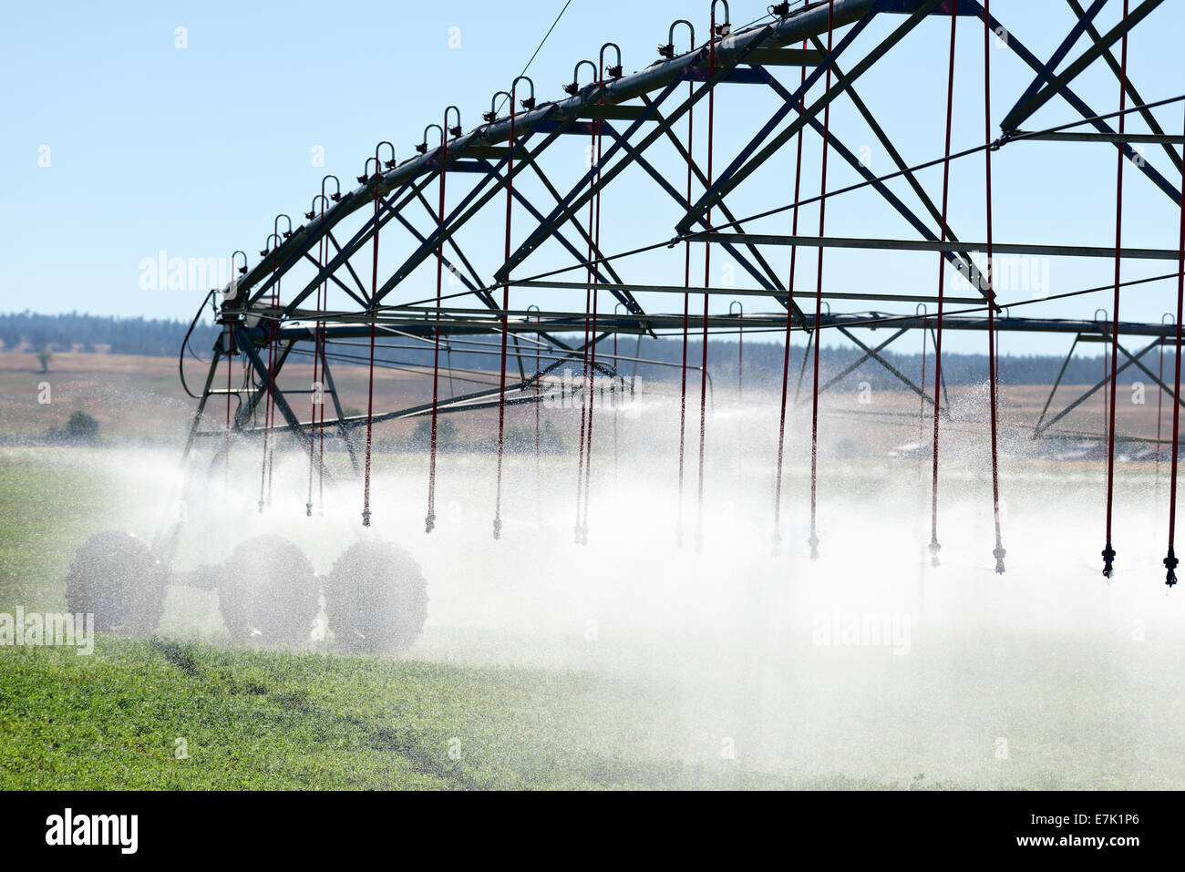 Water spraying from a mechanical irrigation system on a farm in ...