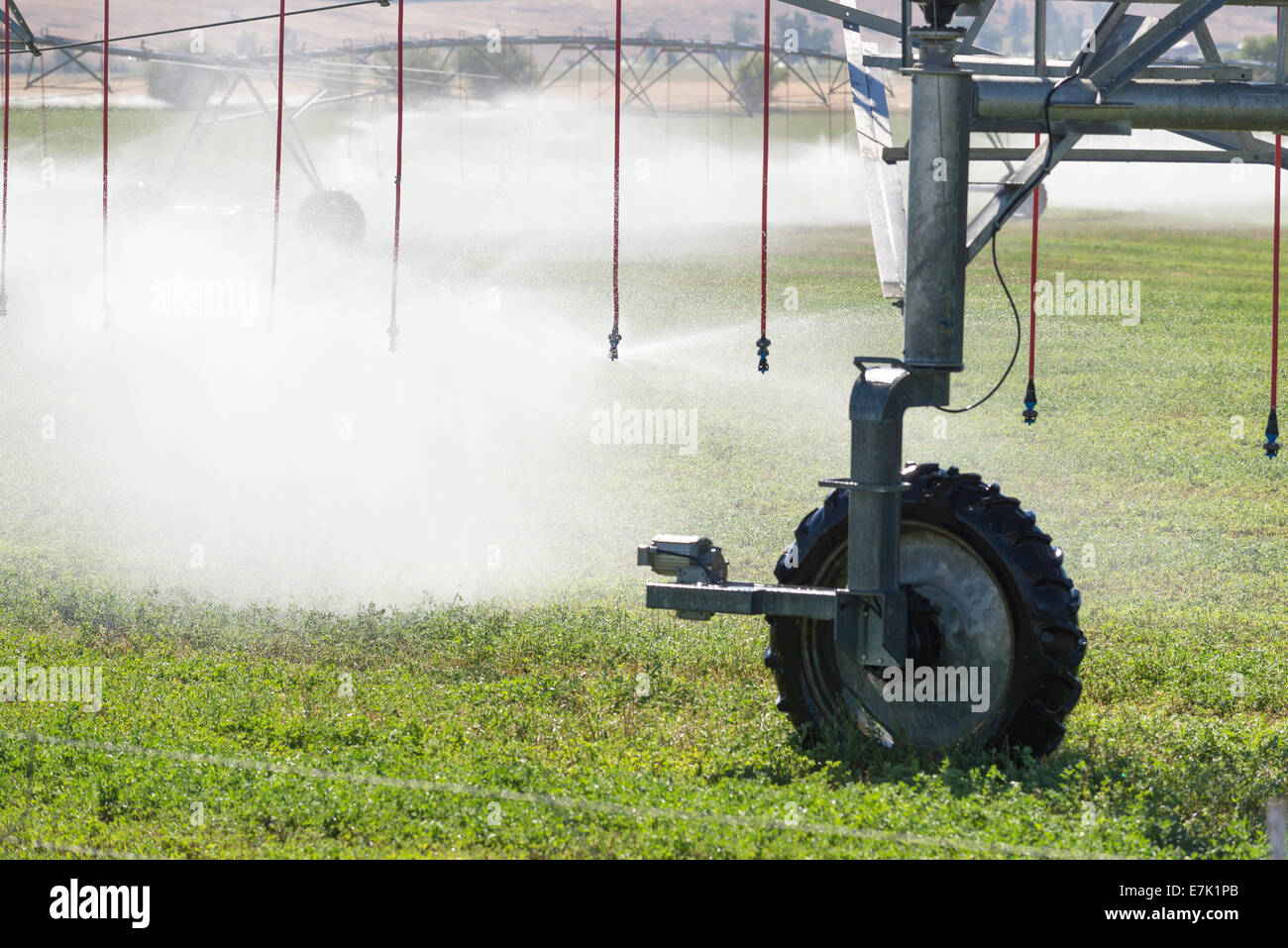 Water spraying from a mechanical irrigation system on a farm in ...